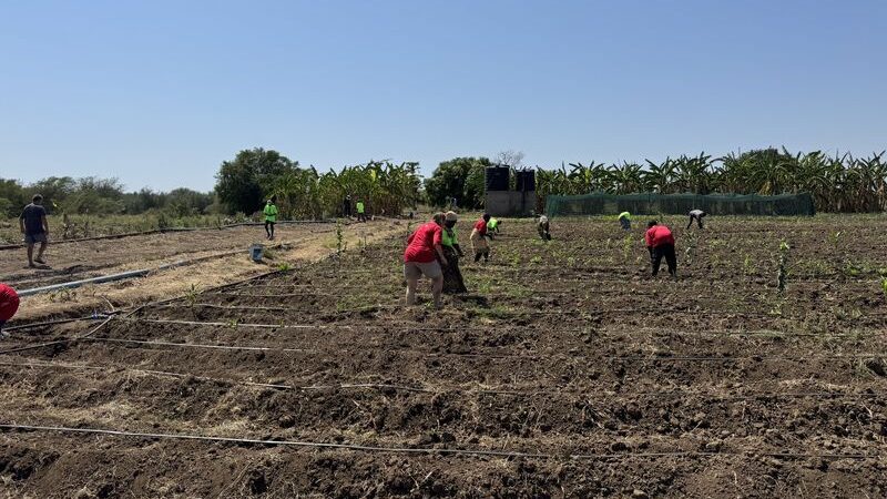 Community Projects – Hemmersbach Rhino Force